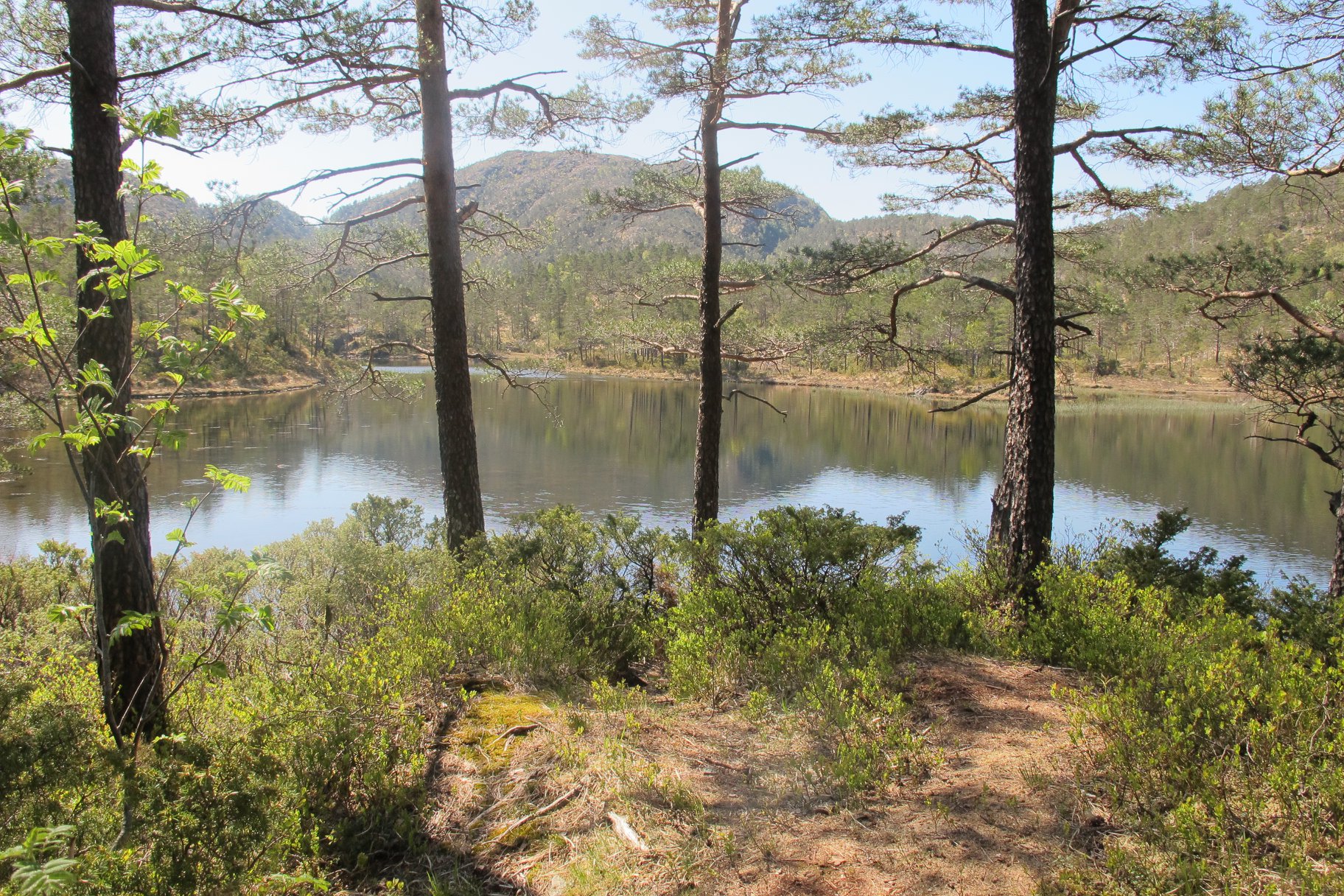 October 9 1944 | Six Sacks of Potatoes